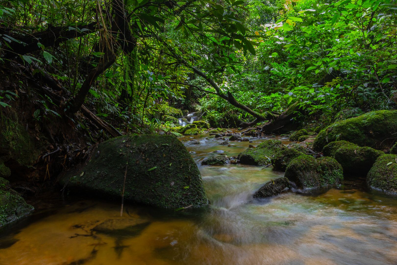 Bebendo de rios e riachos da natureza | Visite Nova Friburgo - Turismo ...