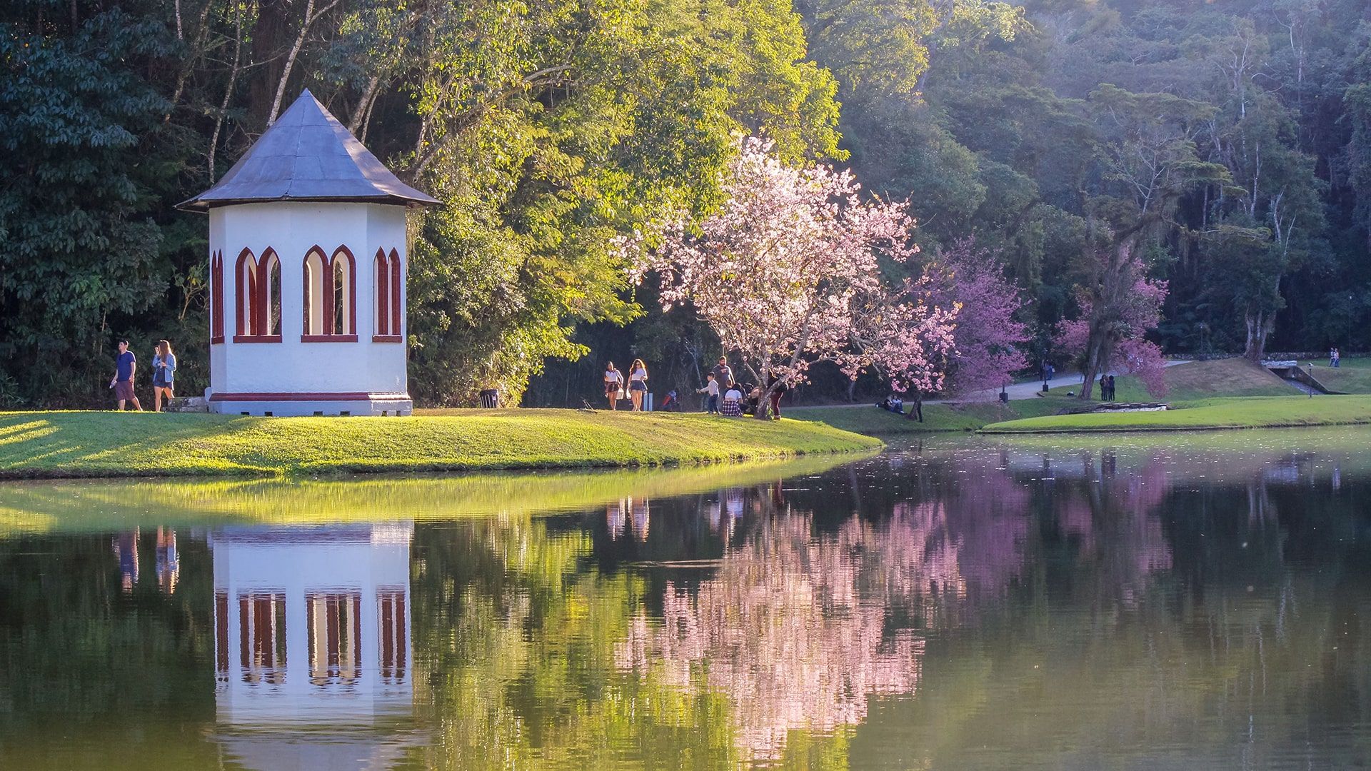 Nova Friburgo Country Clube, um lugar inesquecível | Visite Nova ...