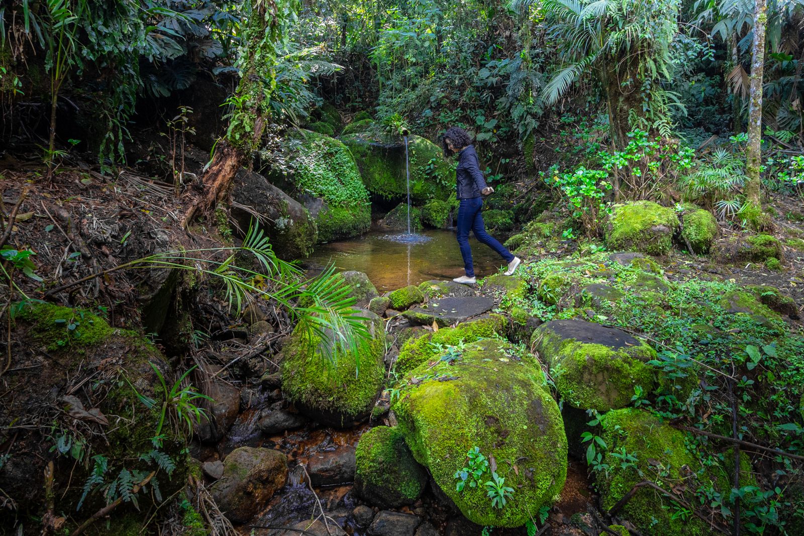 Bebendo de rios e riachos da natureza | Visite Nova Friburgo - Turismo ...